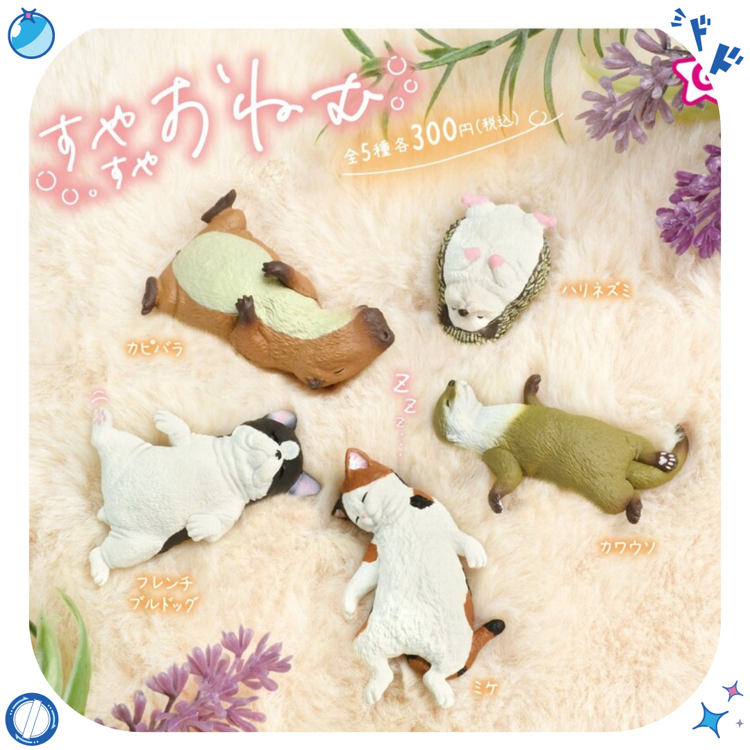 Home - Capsule Station